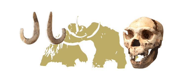 Ancient Bloodline DNA Report | Ancient Ancestry | Genomelink