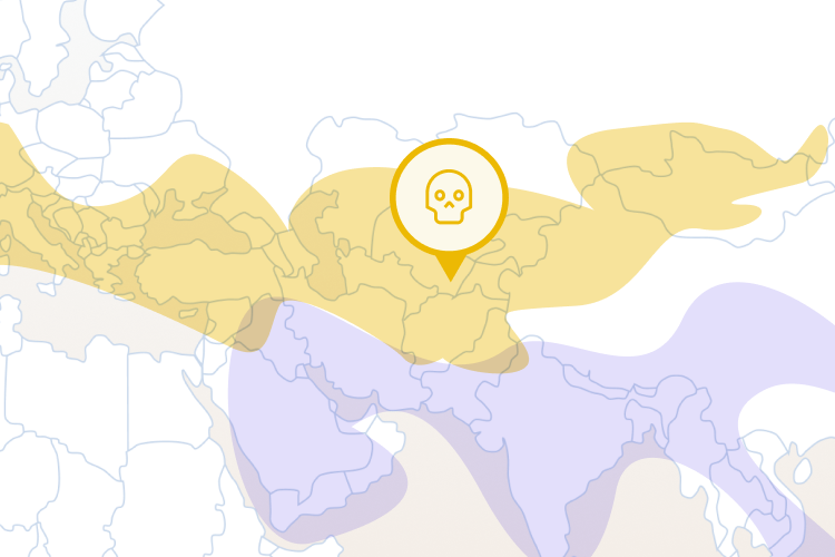 Neanderthal DNA Report | Neanderthal Ancestry Test | Genomelink