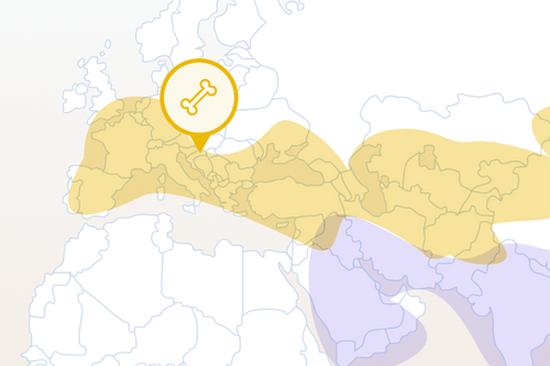 Neanderthal DNA Report | Neanderthal Ancestry Test | Genomelink
