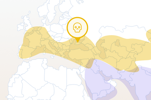 Neanderthal DNA Report | Neanderthal Ancestry Test | Genomelink