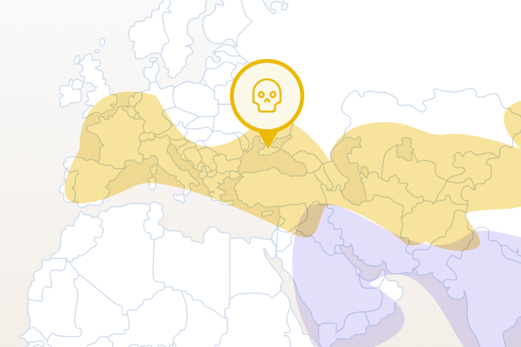 Neanderthal DNA Report | Neanderthal Ancestry Test | Genomelink