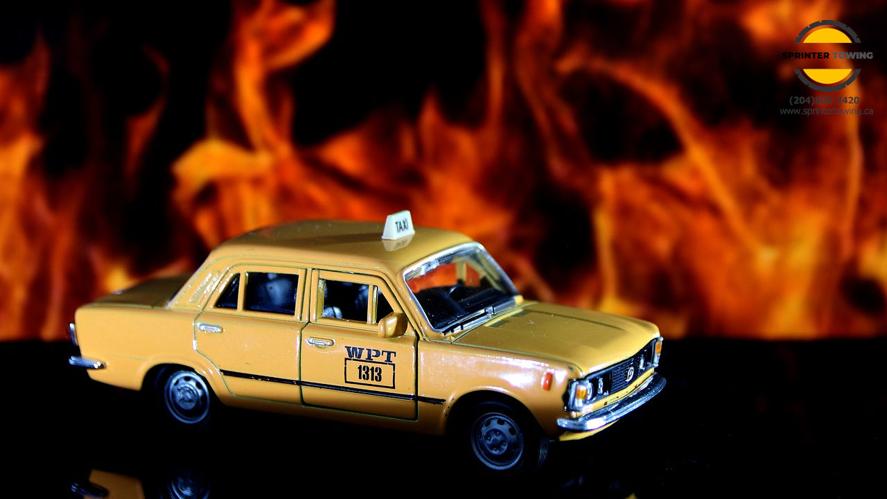 Hot Car Warning - Child Safety