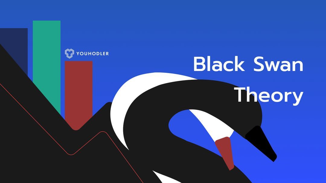 Black Swan Theory: What is it and Why Does It Matter?