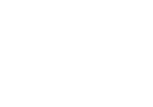 Ideta - Powerful chatbots and callbots