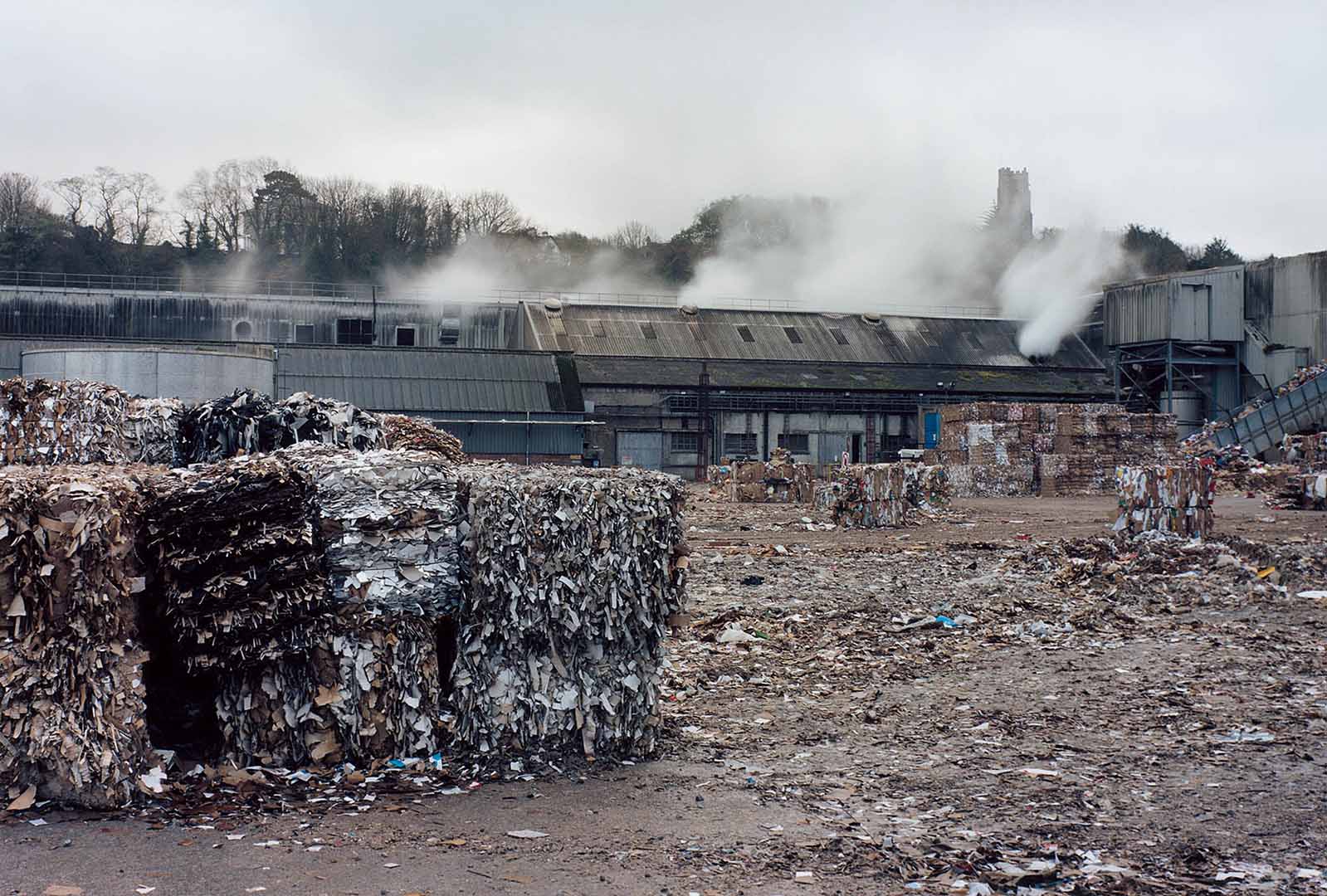 Tim Richmond- Love Bites