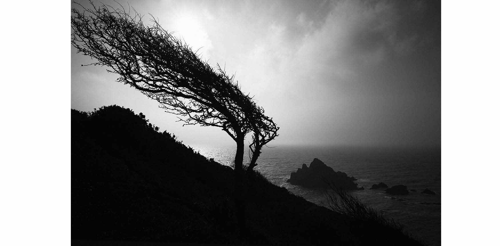 Oscar-winning cinematographer Roger Deakins on his rediscovered love of ...