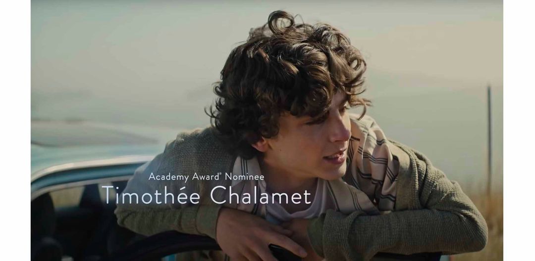 Timothée Chalamet is one of the most talented young actors in Hollywood ...