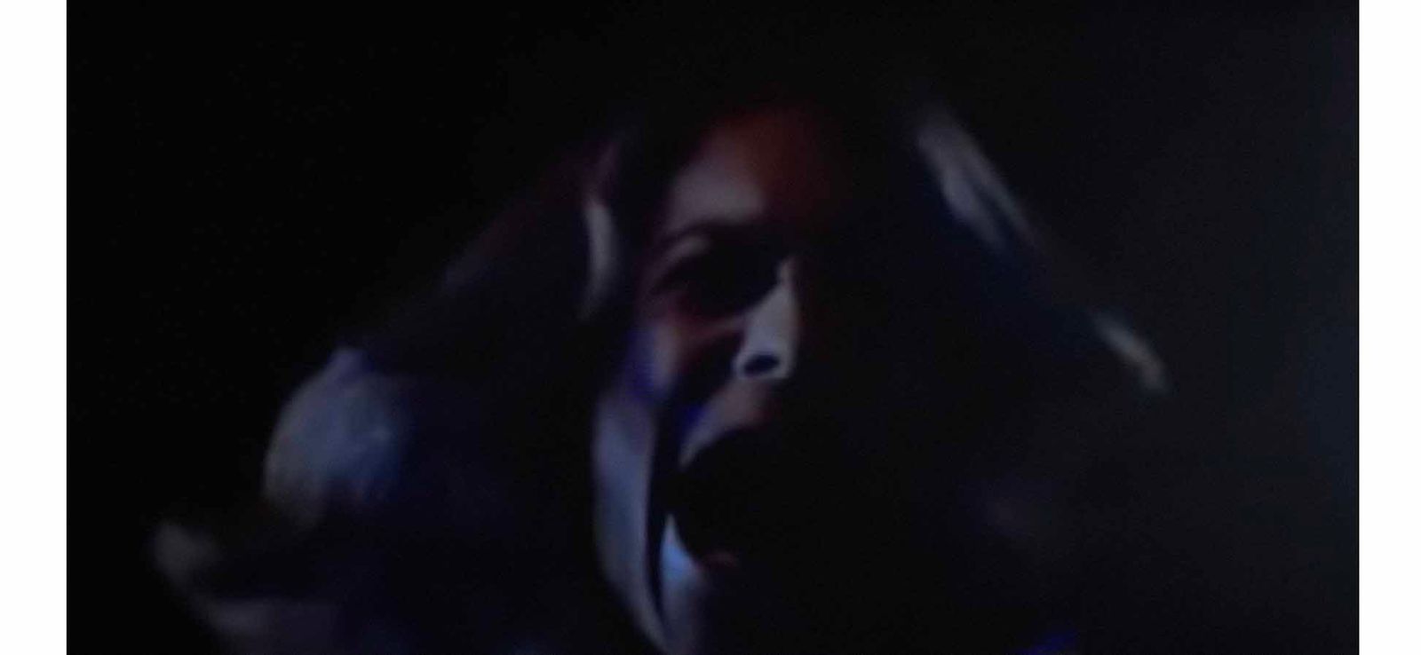 Why is Jamie Lee Curtis the scream queen?