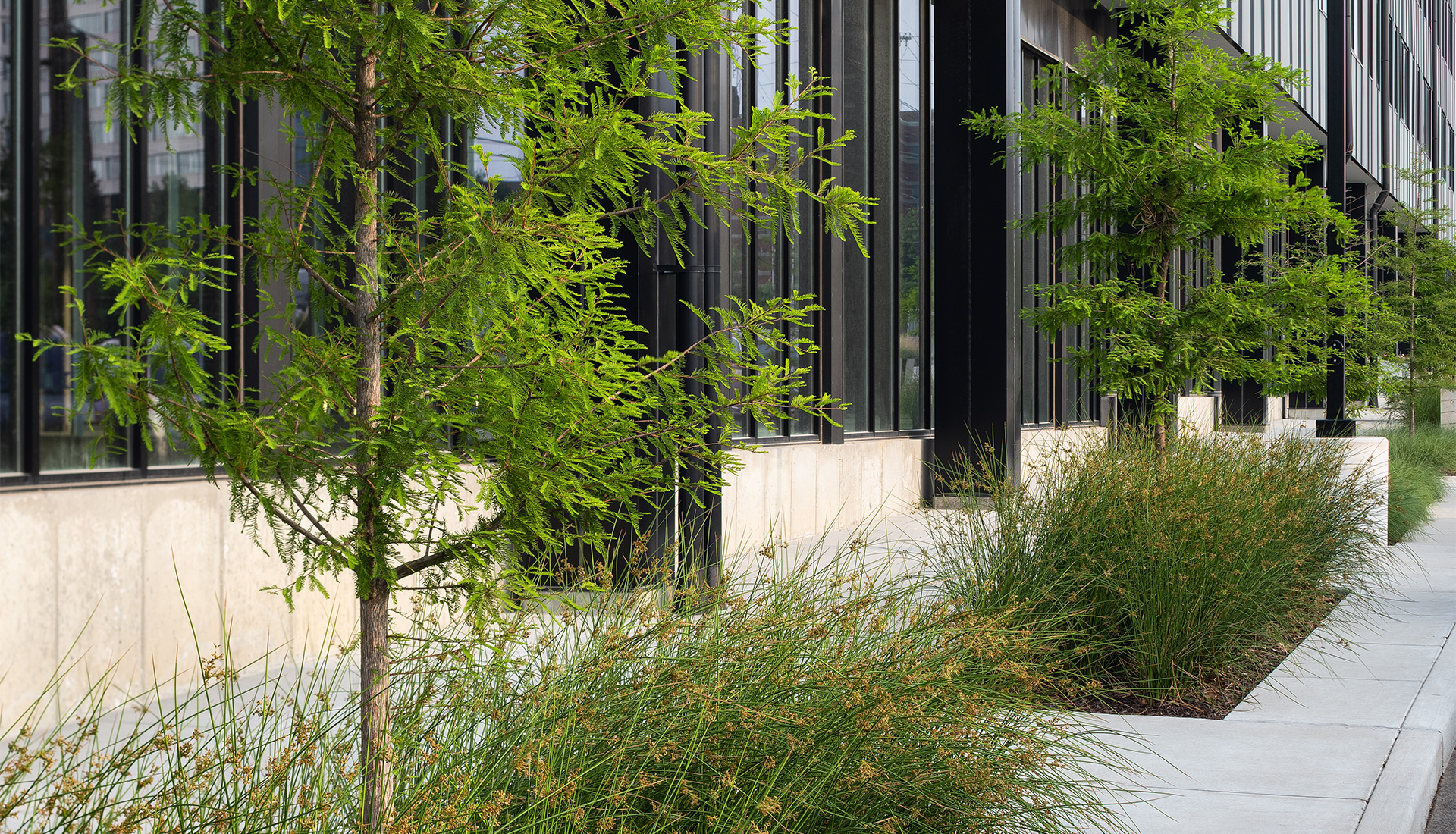 Arbolope Studio | Steelcote Flats