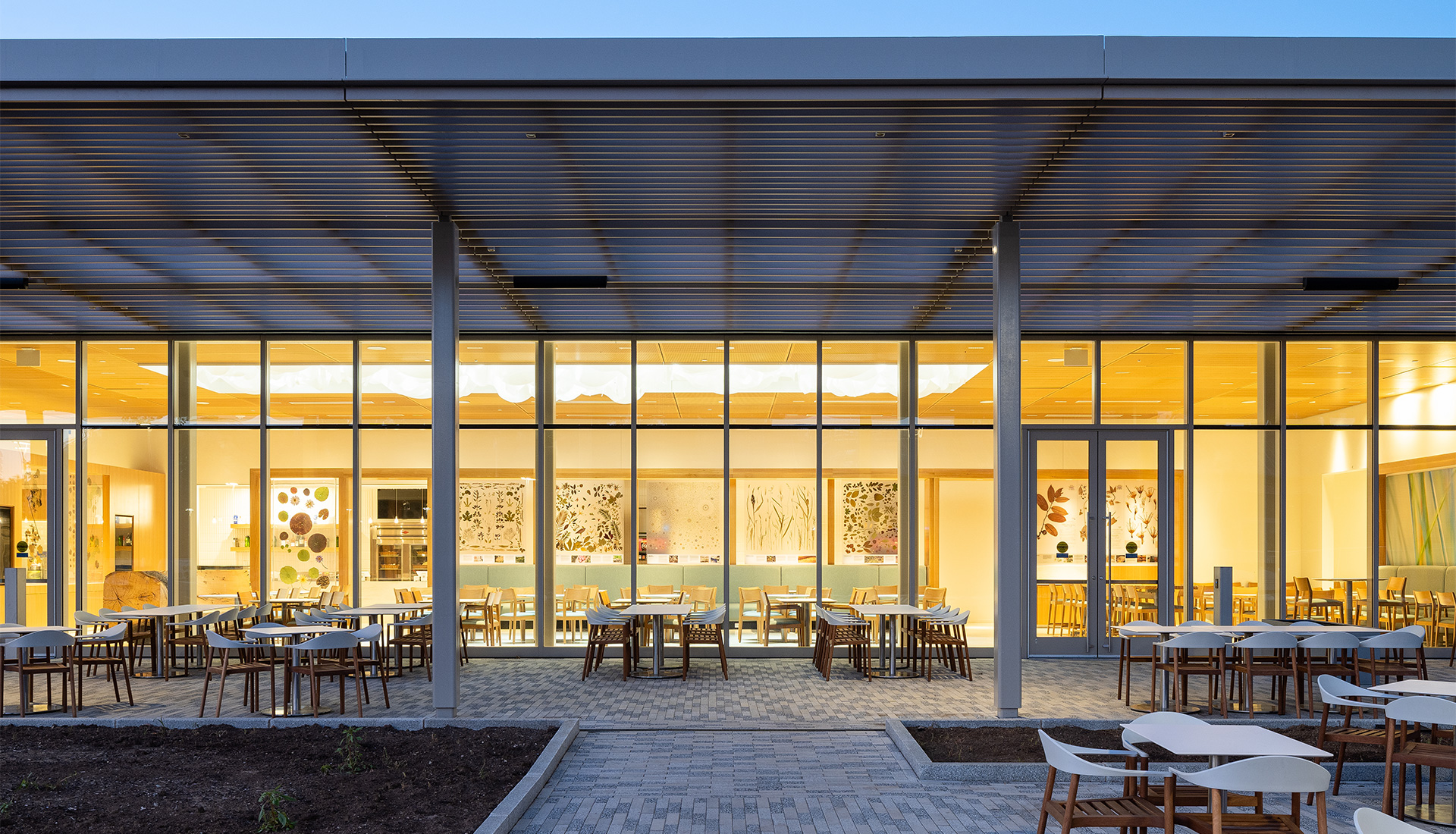 Arbolope Studio | Jack C. Taylor Visitor Center Specimen Panels