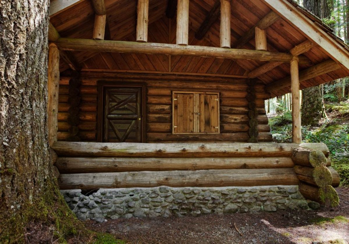 What Are the Different Cabin Types? (Explained!)