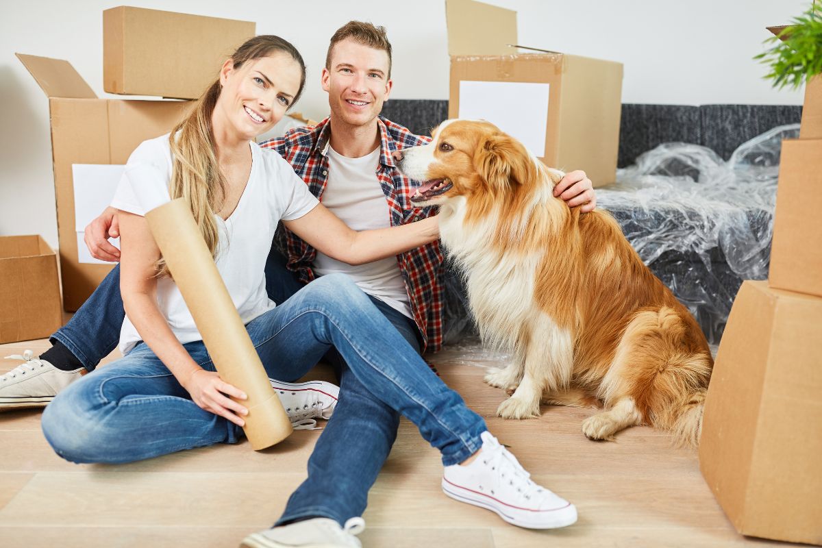 Everything You Need to Know About Moving with Pets