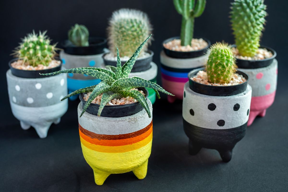 DIY Planters For Your Houseplants