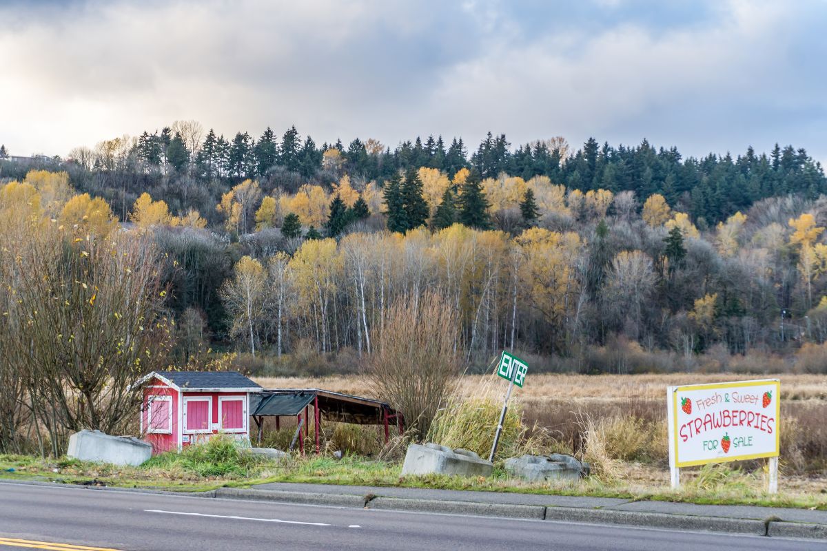 Moving To Kent, WA: Things To Know
