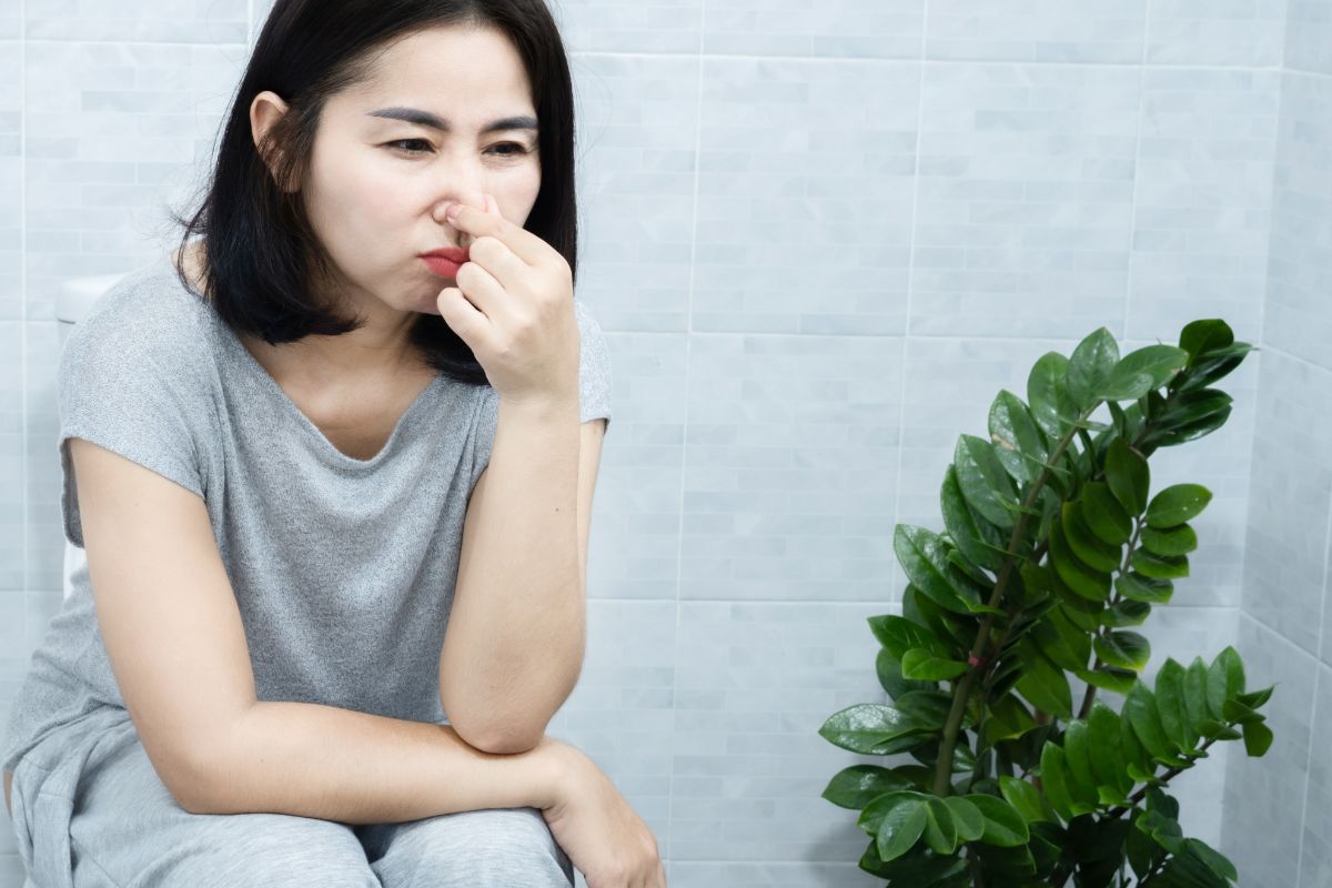 Common Reasons for Smells in Composting Toilets