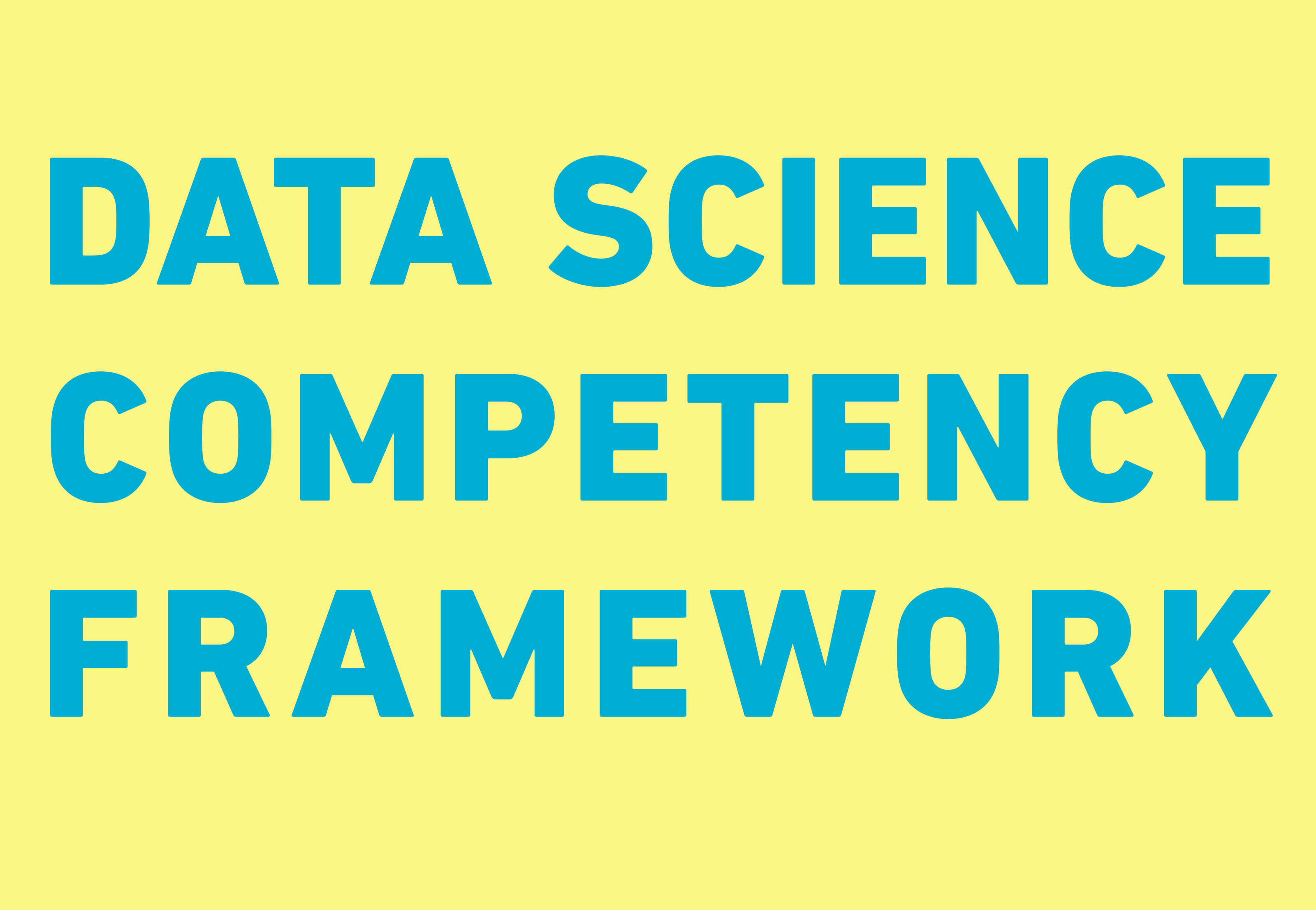 Competency Framework