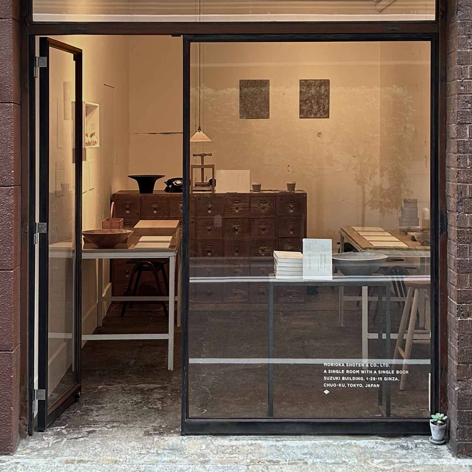 Minimal Interior Plants | Matte Magazine
