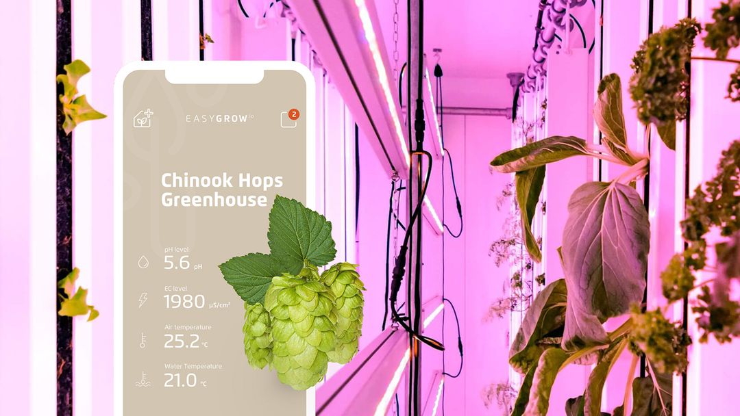 Easygrow: Sustainable agritech IoT platform for urban farming