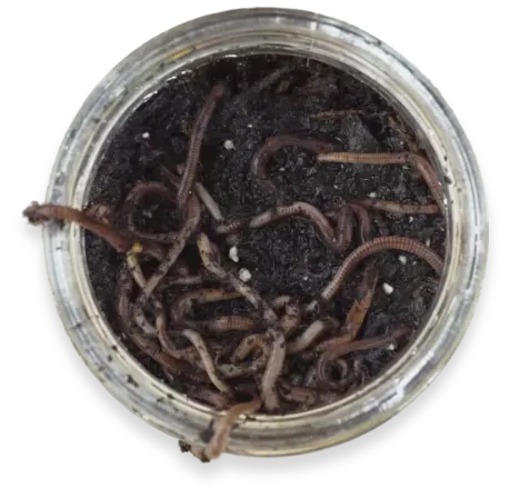 Generation Wild - Kids Grow Better Outside