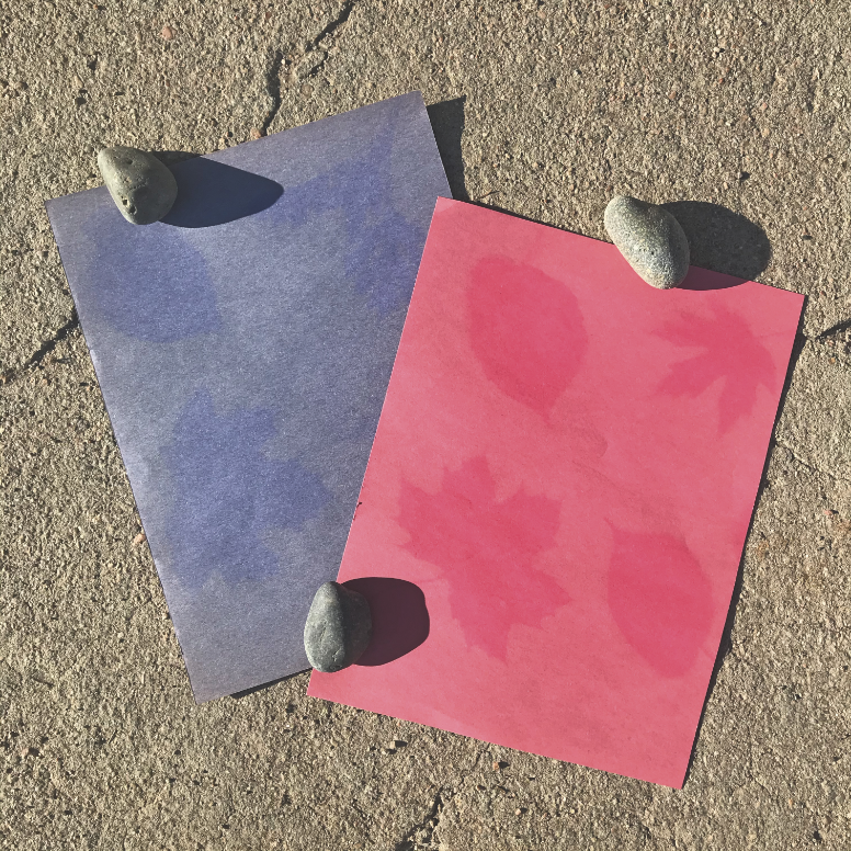 Outdoor Fun: A List of 20 Ideas for 20 Minutes Outside