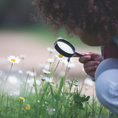 Outdoor Fun: A List of 20 Ideas for 20 Minutes Outside