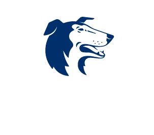 Complete Collar/Receiver | Dog Guard® of Wisconsin
