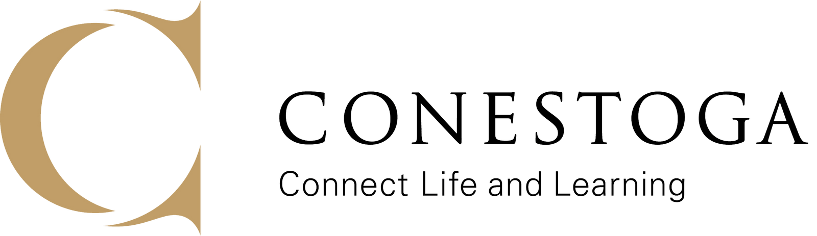 Edified - Education Industry Experts