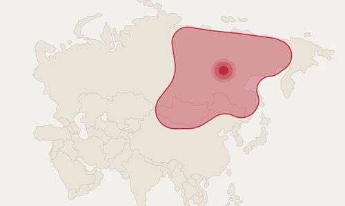 Asian DNA Report | Asian Ancestry Test | Genomelink