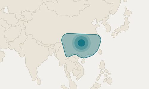 Asian DNA Report | Asian Ancestry Test | Genomelink
