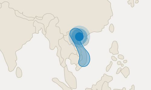 Asian DNA Report | Asian Ancestry Test | Genomelink