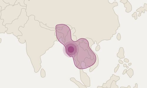 Asian DNA Report | Asian Ancestry Test | Genomelink