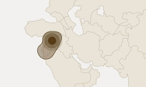 Asian DNA Report | Asian Ancestry Test | Genomelink