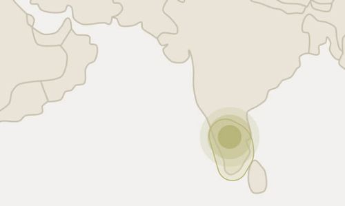 Asian DNA Report | Asian Ancestry Test | Genomelink