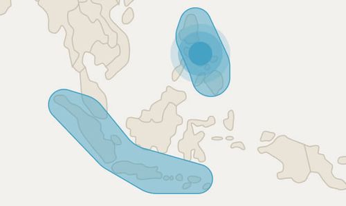 Asian DNA Report | Asian Ancestry Test | Genomelink
