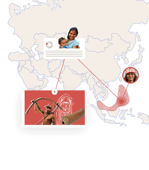 Asian DNA Report | Asian Ancestry Test | Genomelink