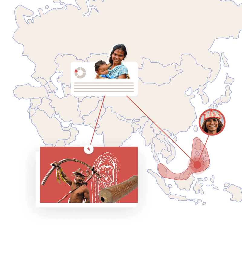 Asian DNA Report | Asian Ancestry Test | Genomelink