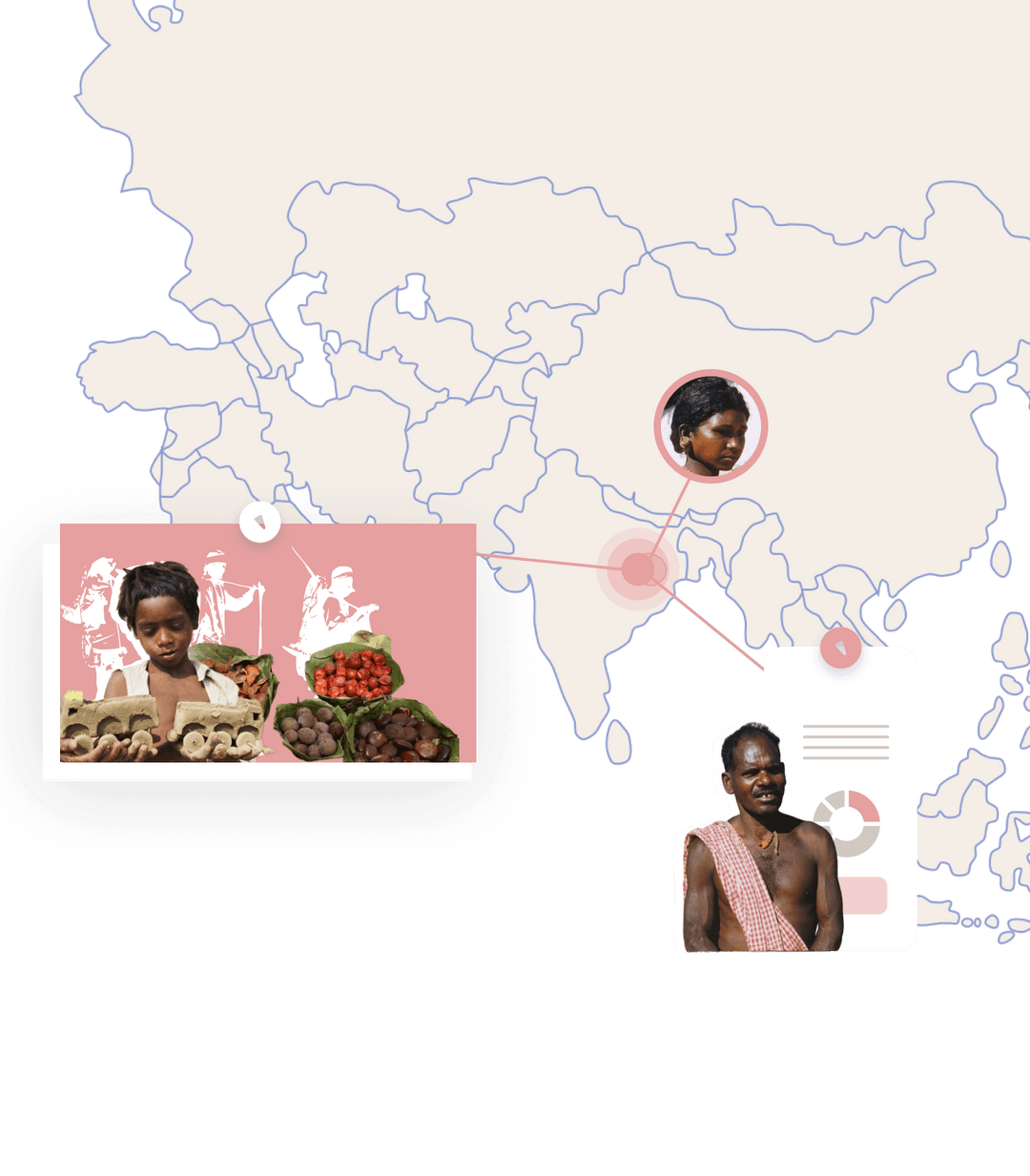 Asian DNA Report | Asian Ancestry Test | Genomelink