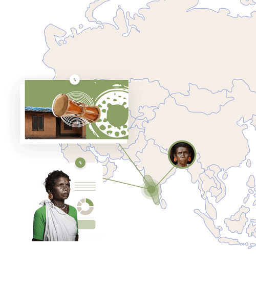 Asian DNA Report | Asian Ancestry Test | Genomelink