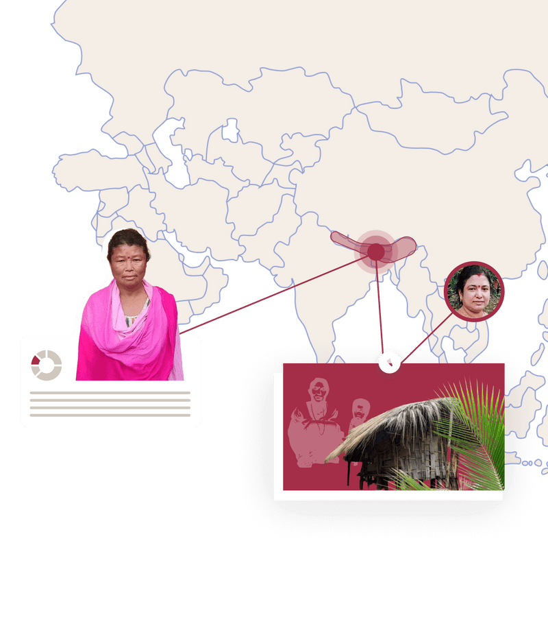 Asian DNA Report | Asian Ancestry Test | Genomelink