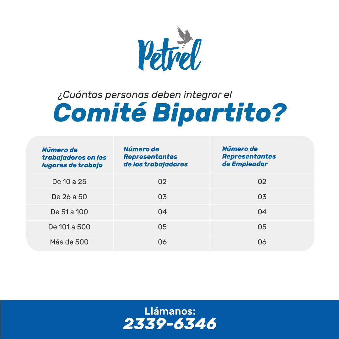 ¿Comités Bipartitos? Aquí te explicamos las dudas más frecuentes: