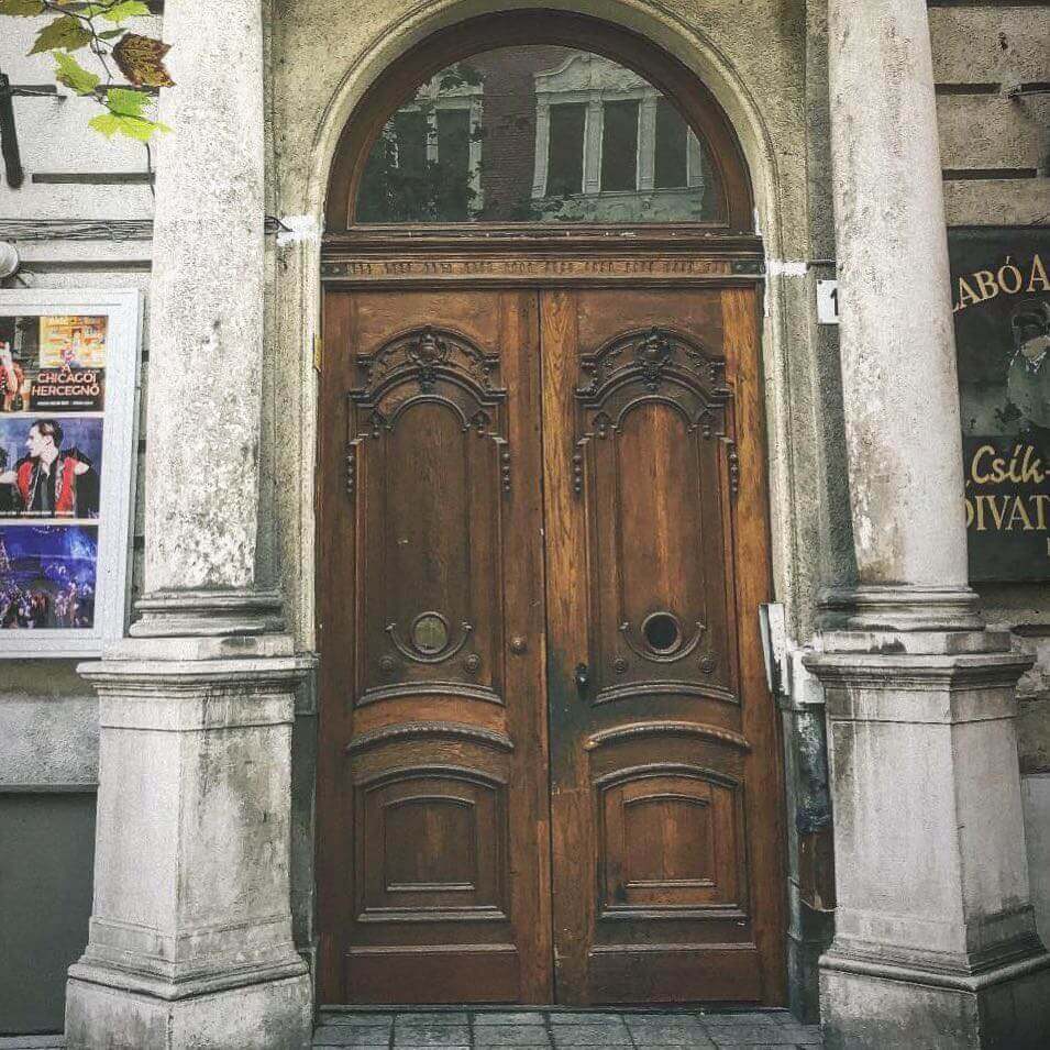 Learning Hungarian with Drops: Milestone 5