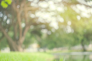 PBISApps | News—Announcing the New Features of SWIS 5.2