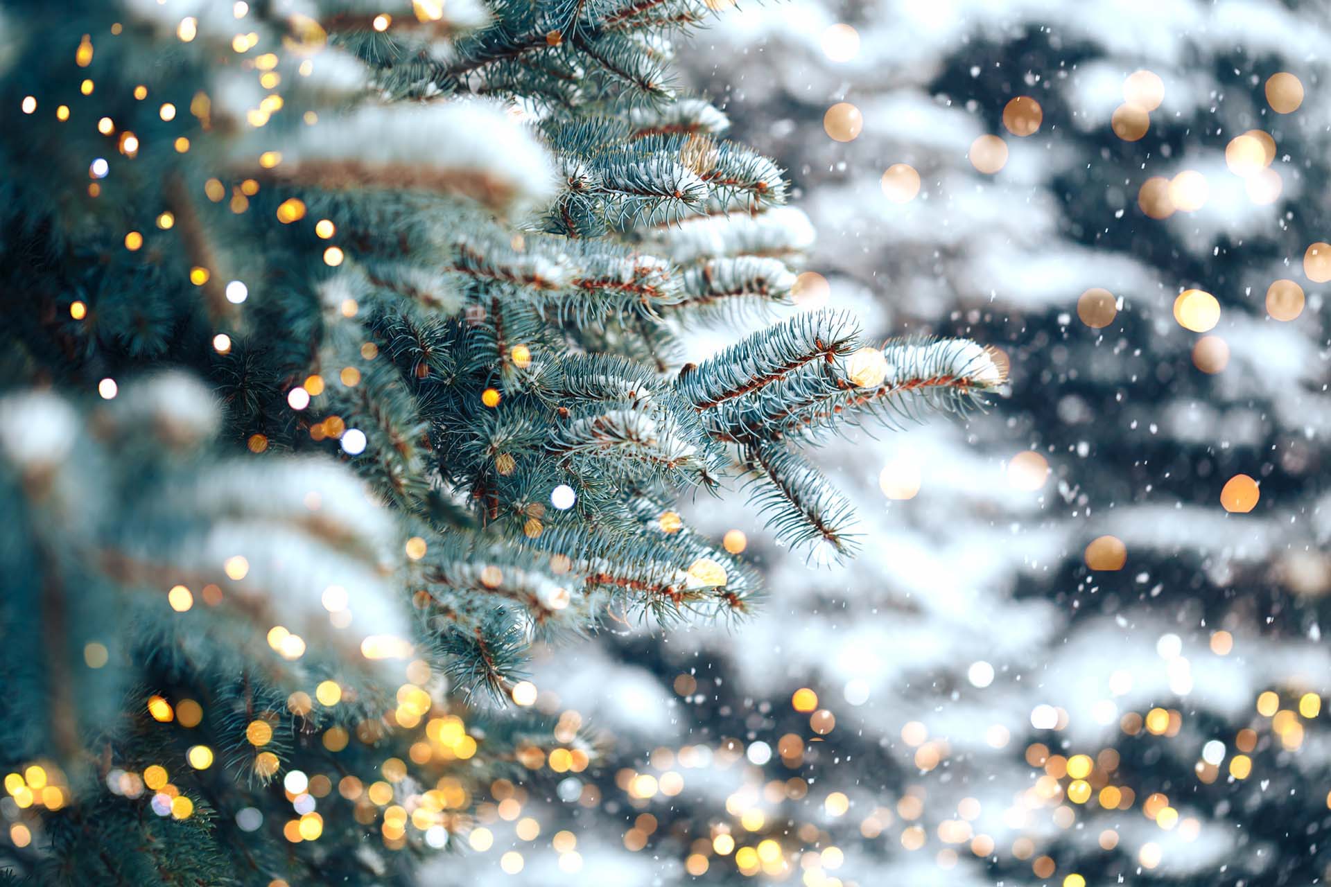 PBISApps | Teach By Design—Our Favorite Things 2021