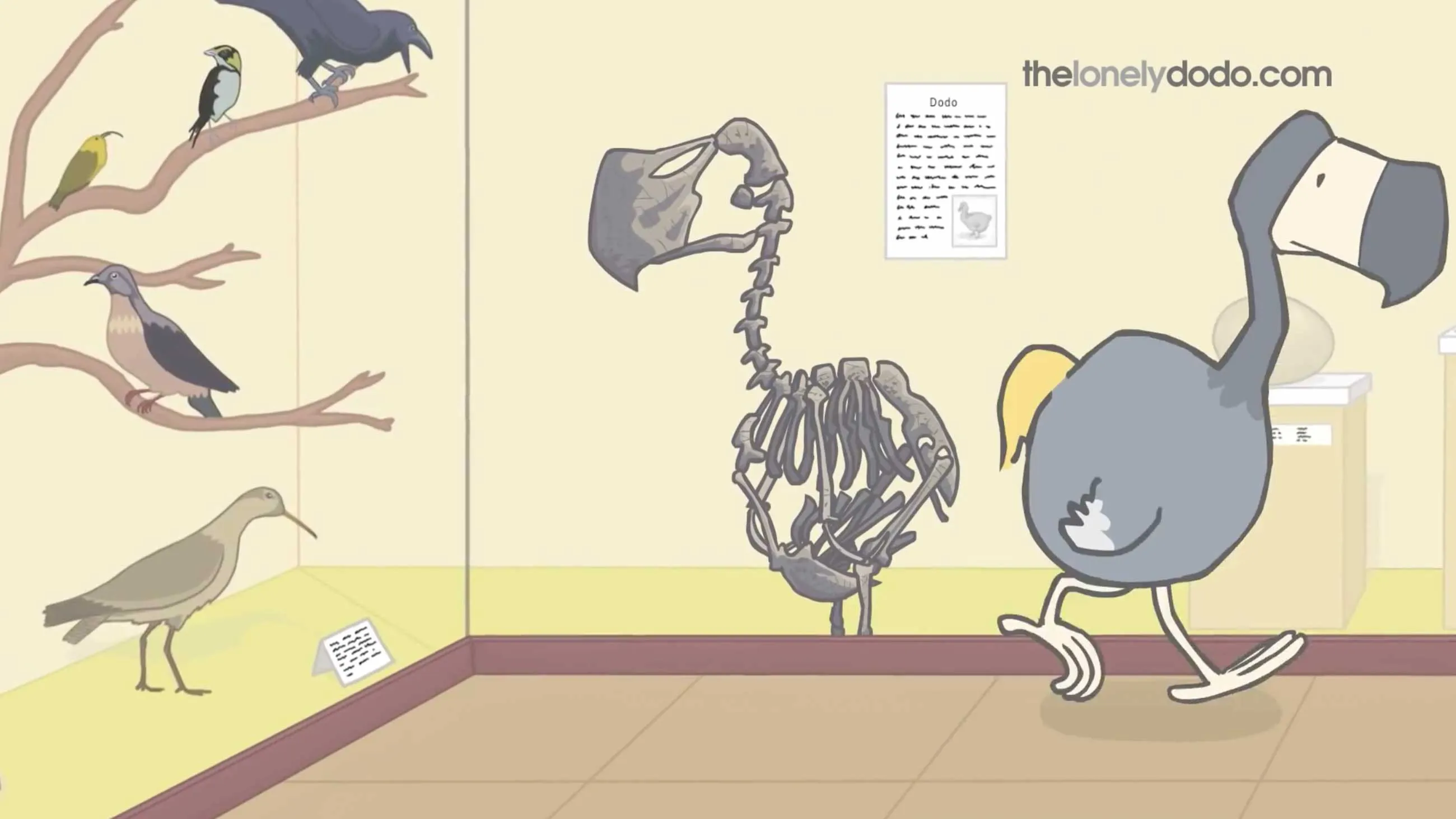 Durrell: brand awareness campaign