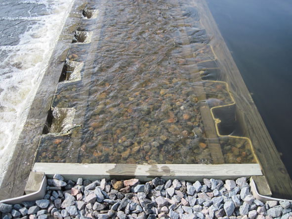 Lake Tecumseh Weir | CMI Case Studies