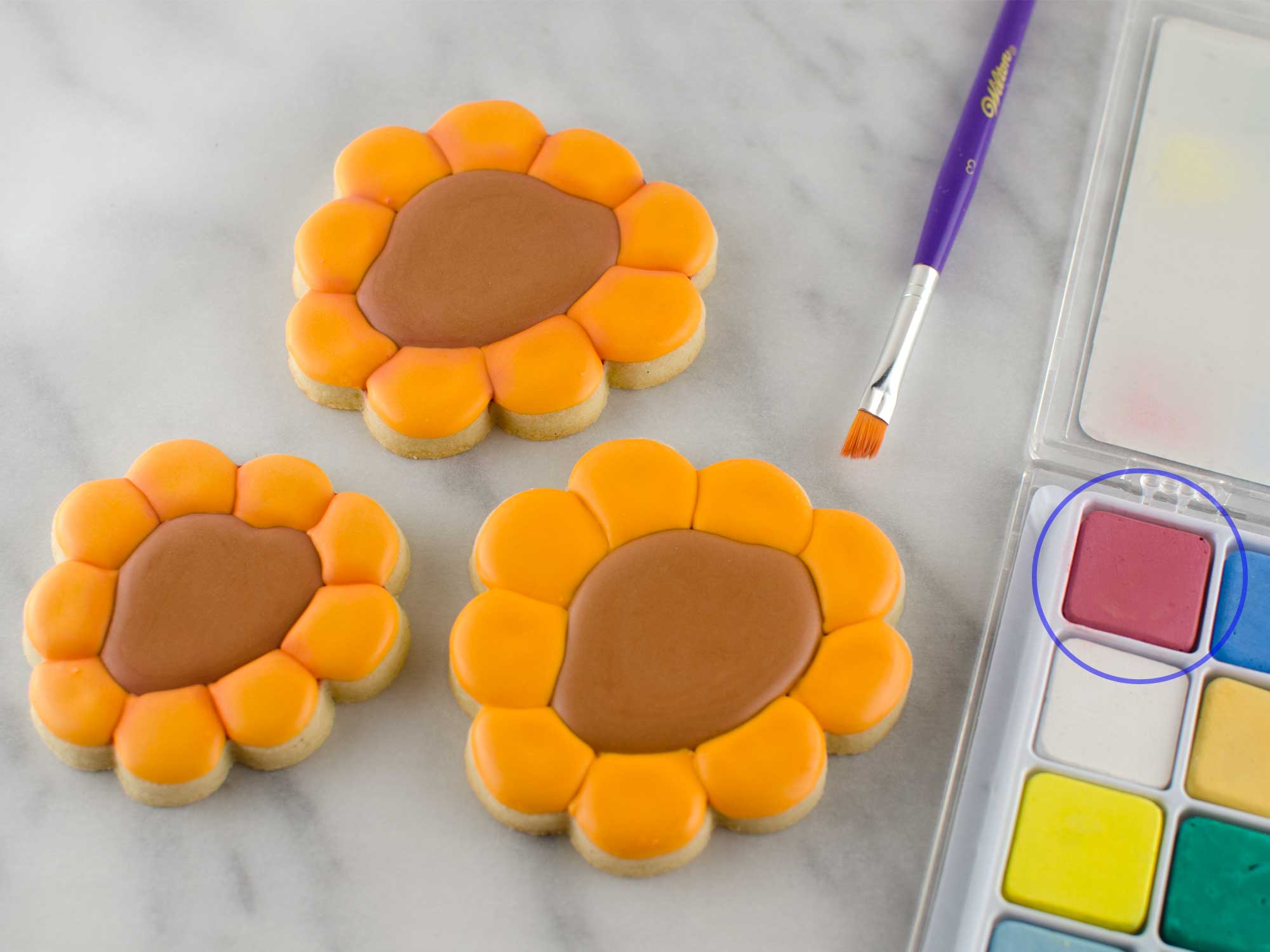 How to Make Cheeky Sunflower Cookies