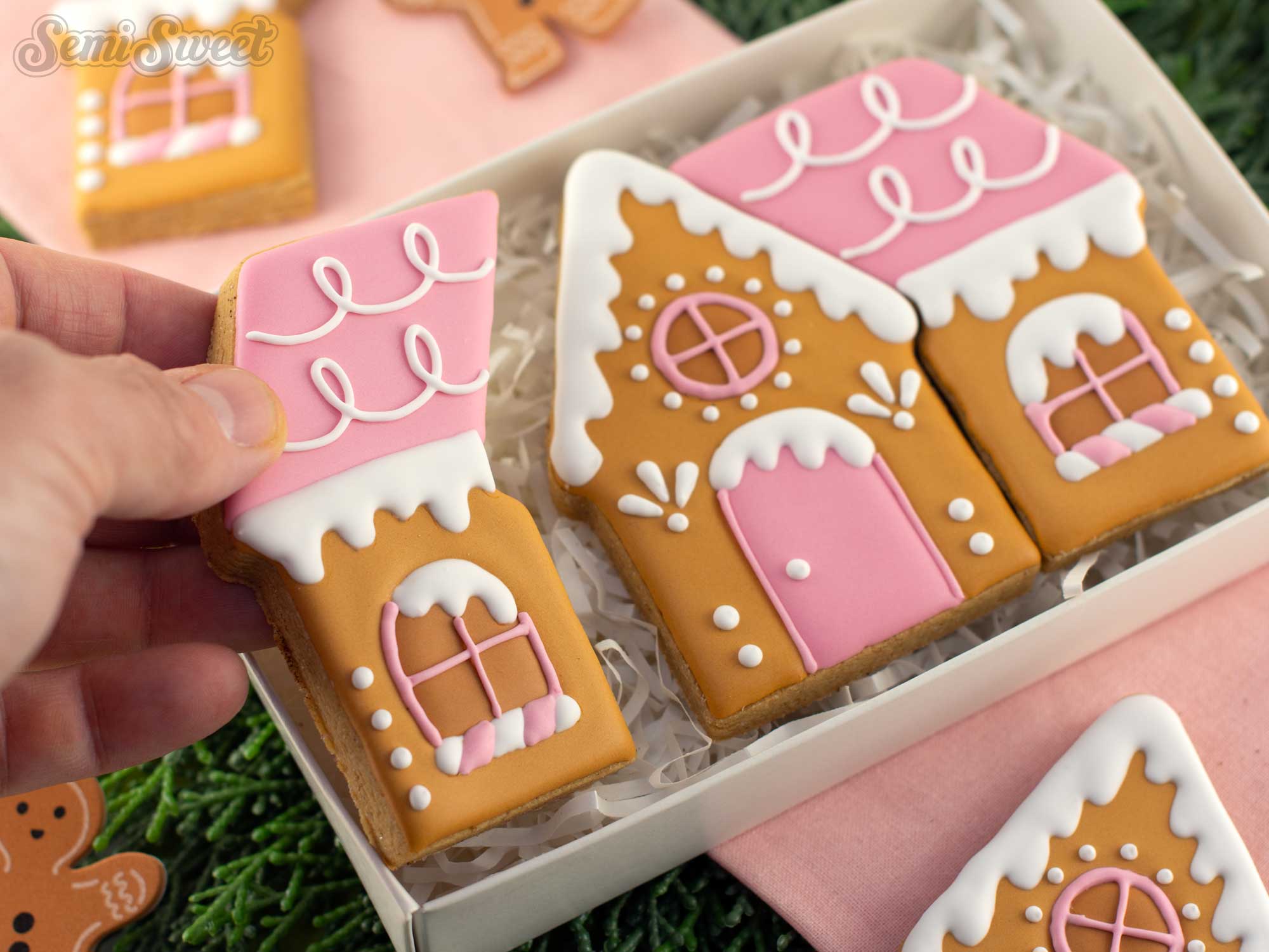 Decorate a Gingerbread House Cookie Set for Christmas