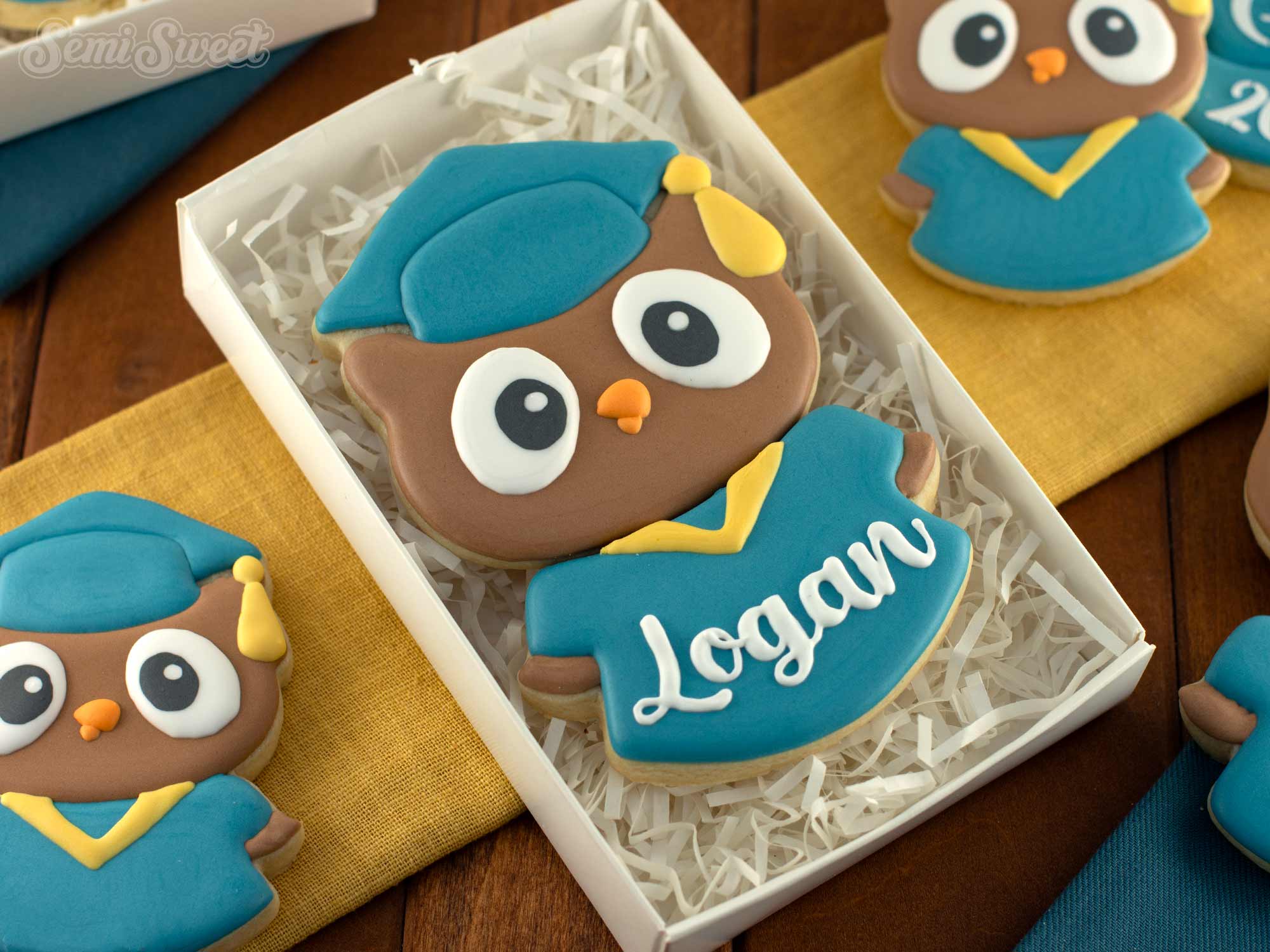 Decorate an Adorable Graduation Owl Cookie Set