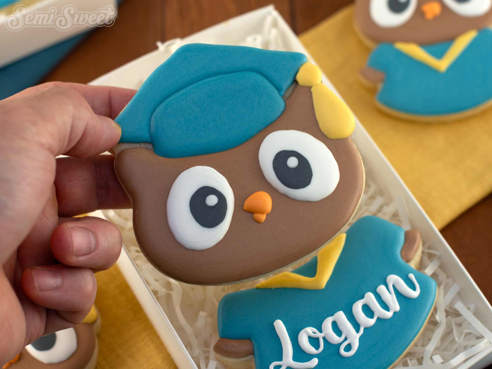 Decorate an Adorable Graduation Owl Cookie Set