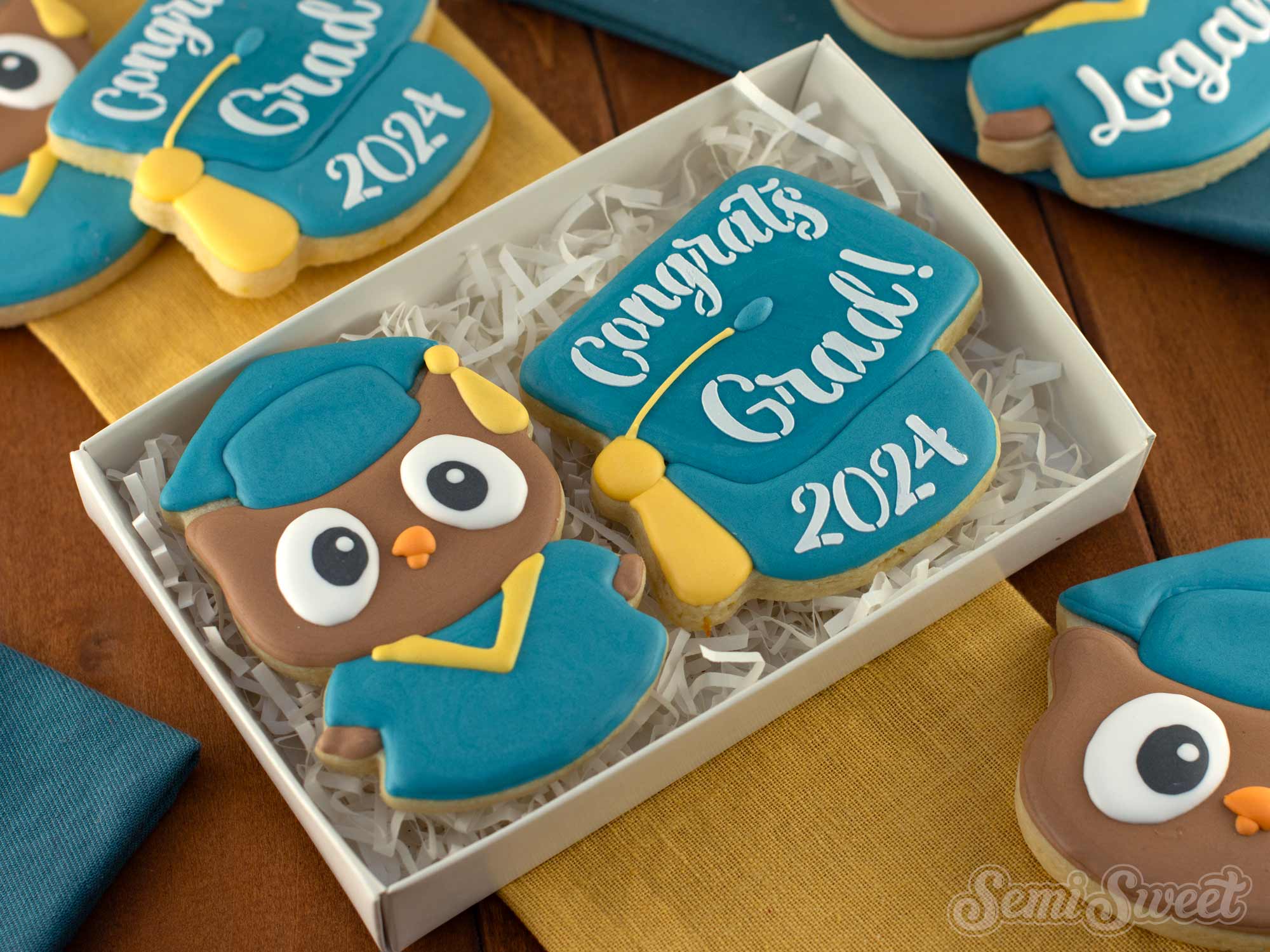 Decorate an Adorable Graduation Owl Cookie Set